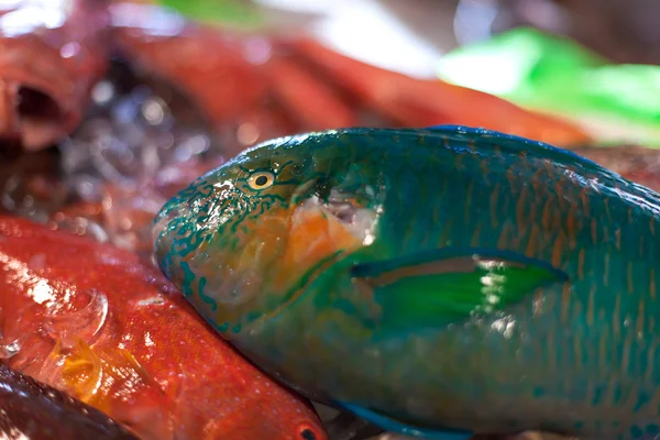 Parrot fish, seafood on market - Stock Image - Everypixel
