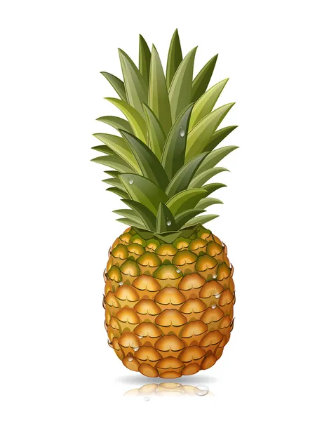 Wektory stockowe: ananas rysunek, łatwe rysowanie krok po kroku ...
