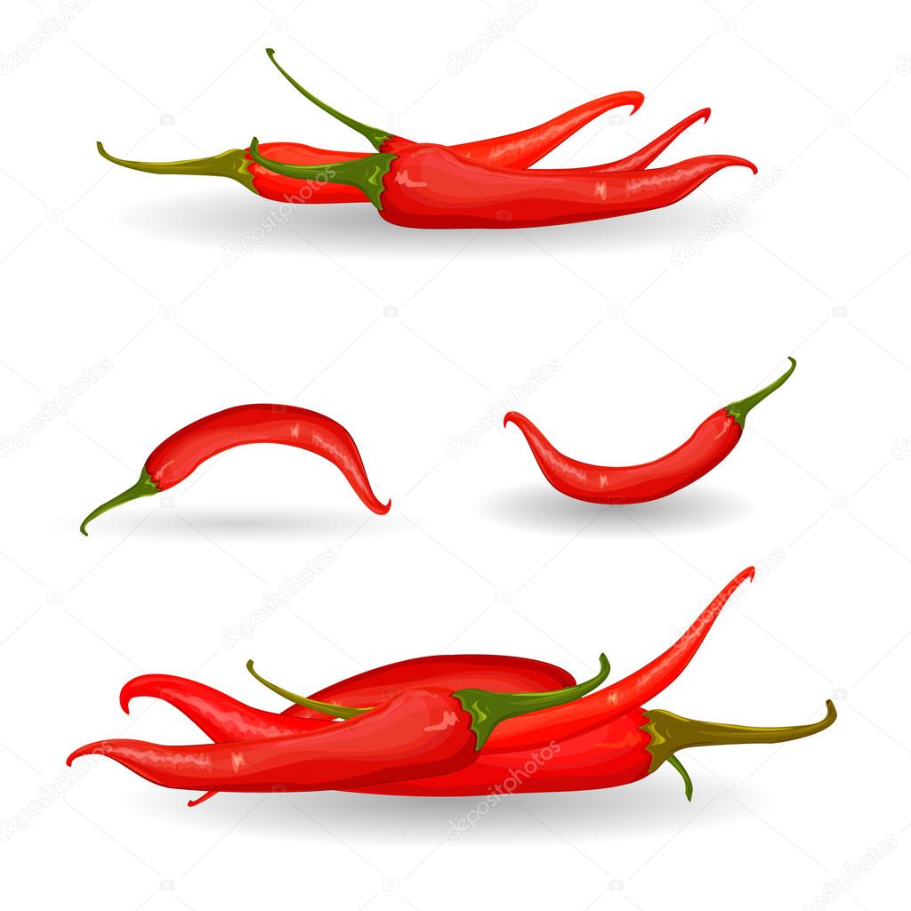 Red chili pepper Stock Vector Image by ©Oksana #49786863