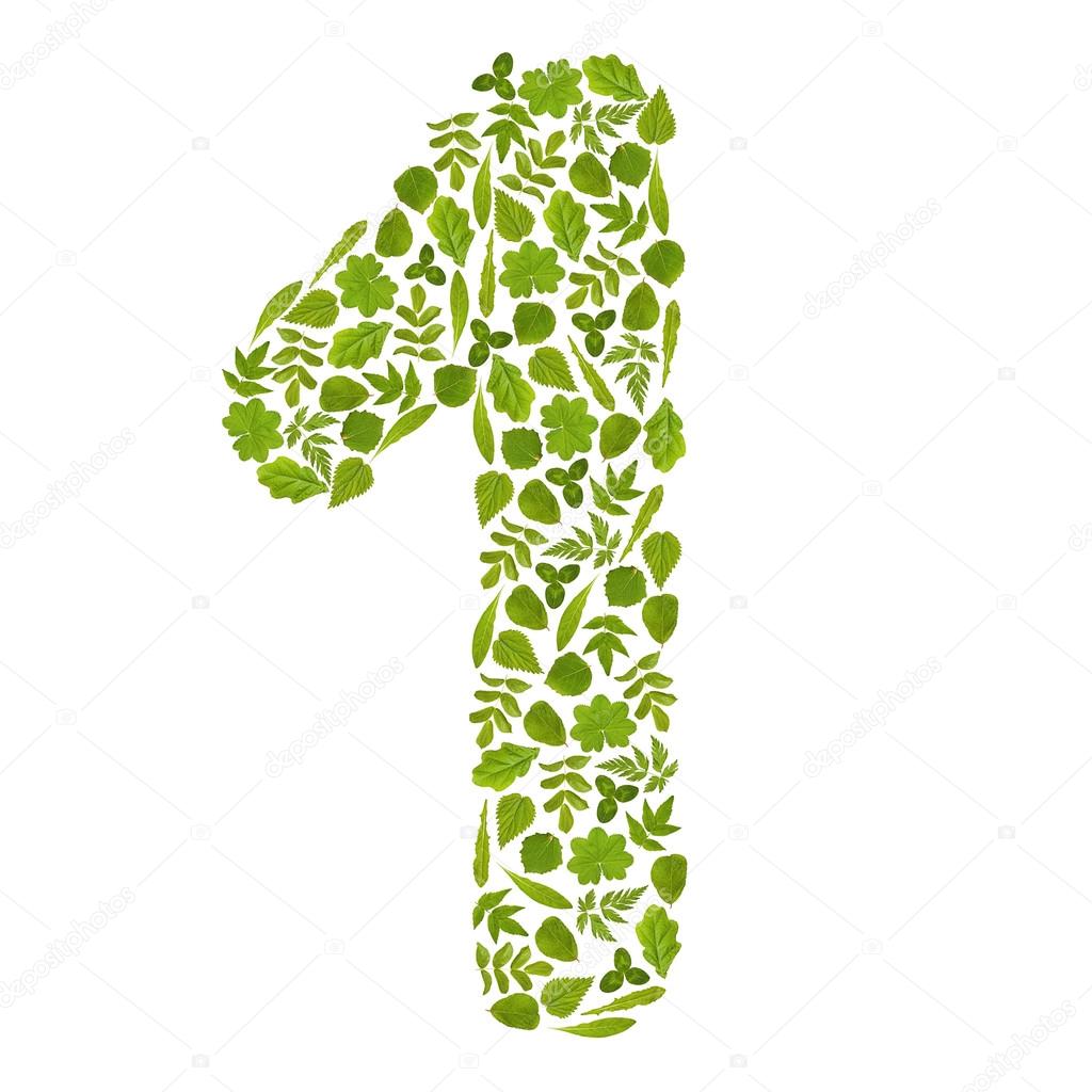 Número UNO de hojas verdes — Foto de stock #27947789 © irogova