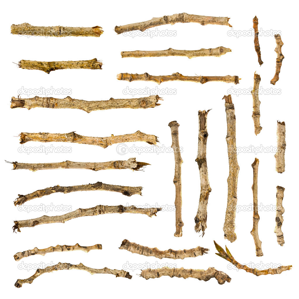Set of dry branches Stock Photo by ©irogova 28879865