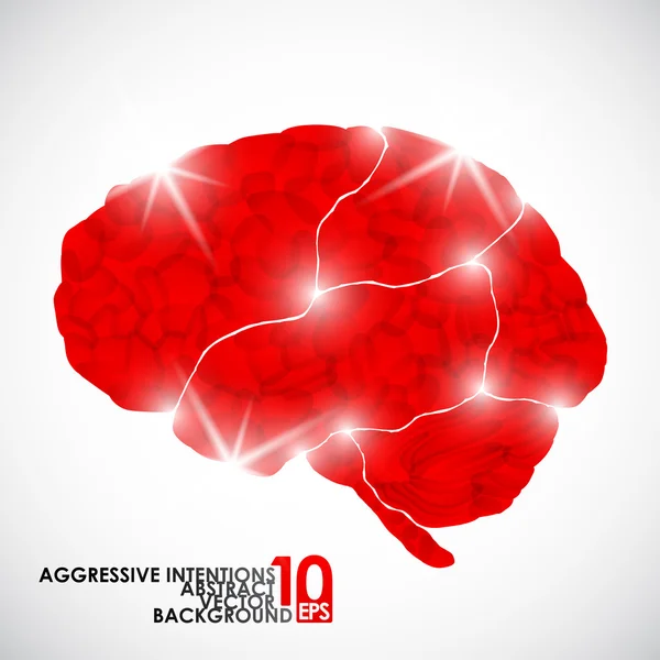 Human brain — Stock Vector © sergio77 #34012811