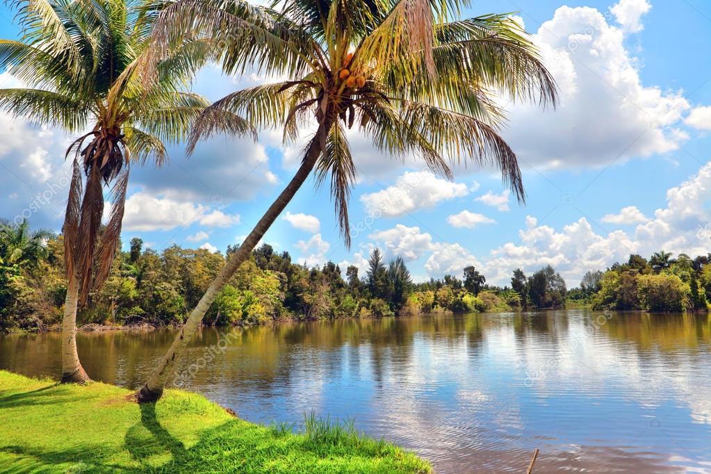 Cuban landscape Stock Photo by ©balaikin 47665691