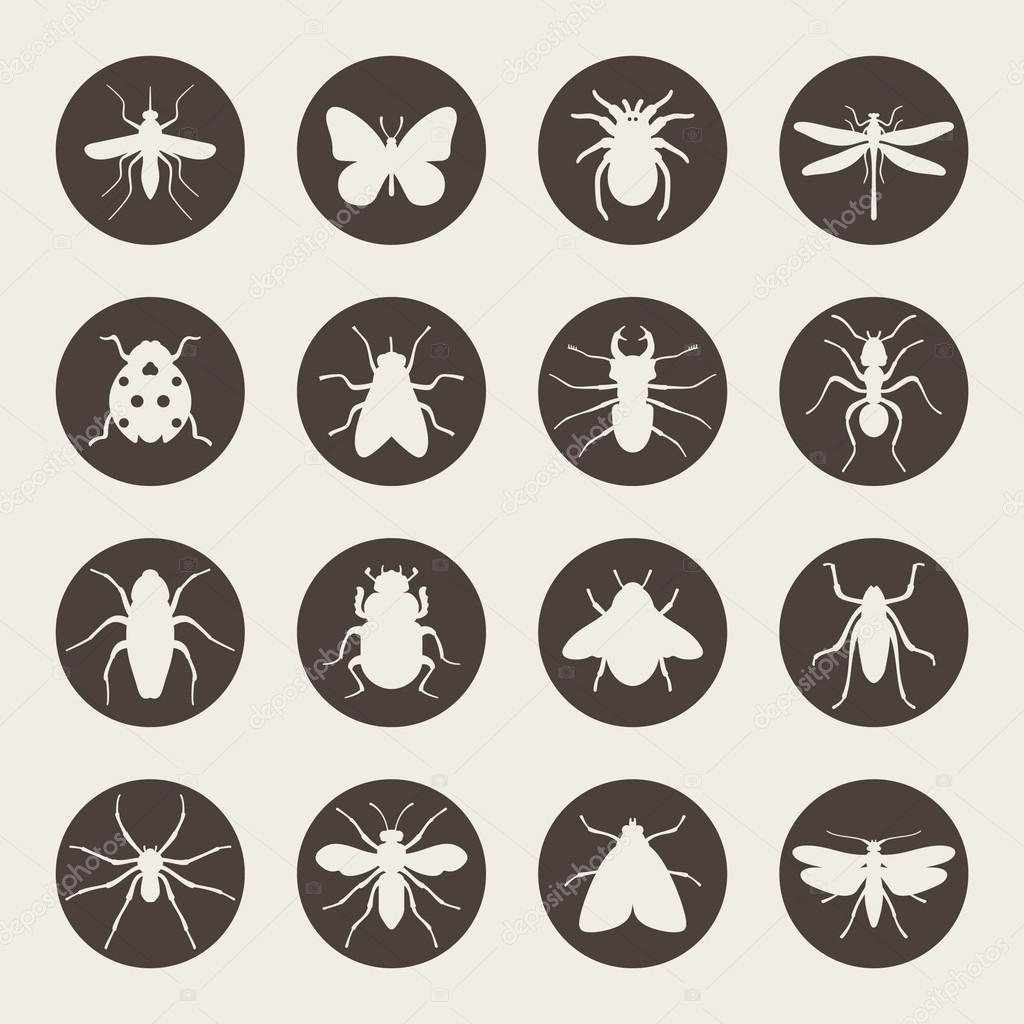 Insects icon set Stock Vector Image by ©missbobbit #36980887