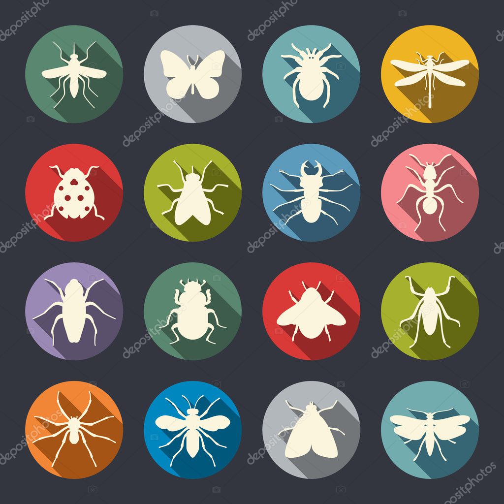 Conjunto de iconos de insectos Vector de stock por ©missbobbit 40627905