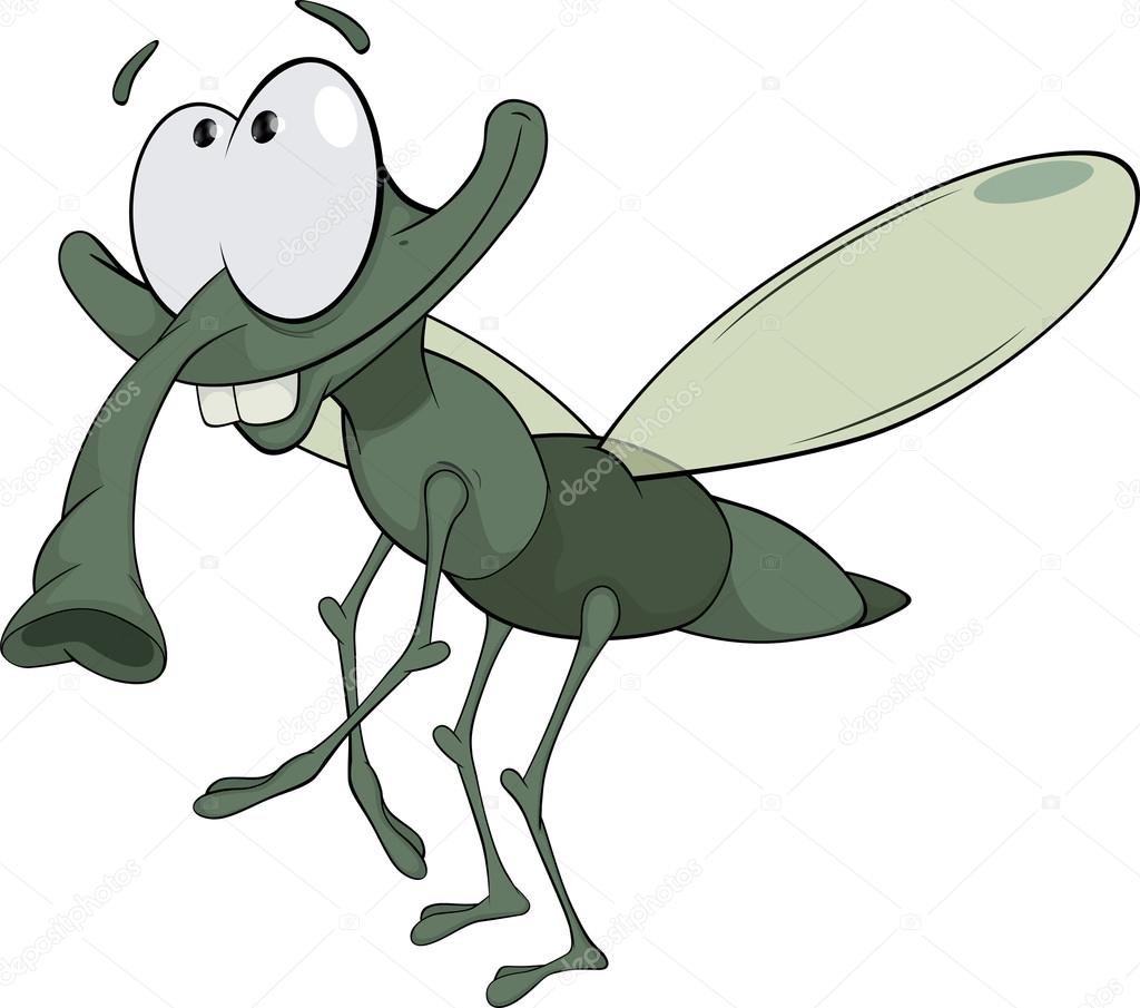 Green insect cartoon Stock Vector Image by ©liusaart #14401007