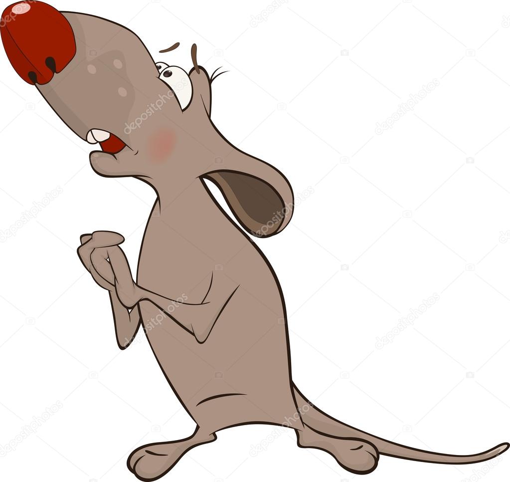 Rat cartoon Stock Vector Image by ©liusaart #44631461