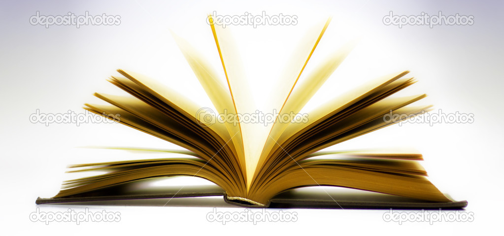 Open book isolated on light blue background — Stock Photo © mpavlov ...