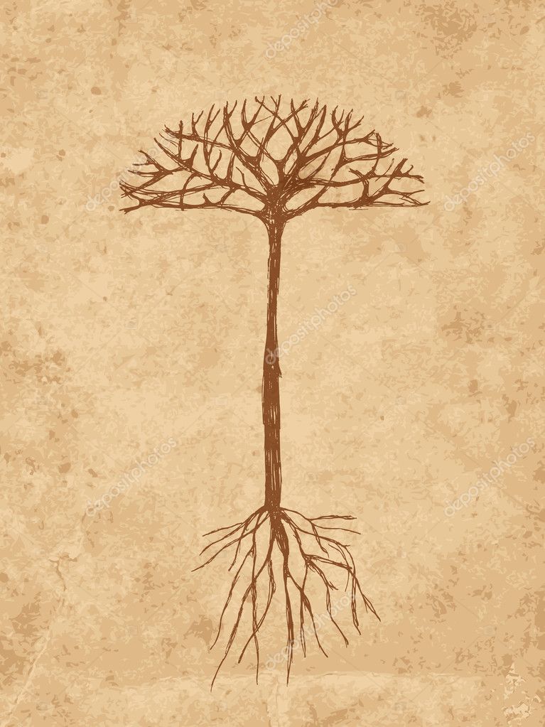 Sketch tree with roots on old grunge paper — Stock Vector © Kudryashka ...