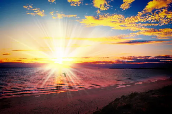 Sun rays Stock Photos, Royalty Free Sun rays Images | Depositphotos