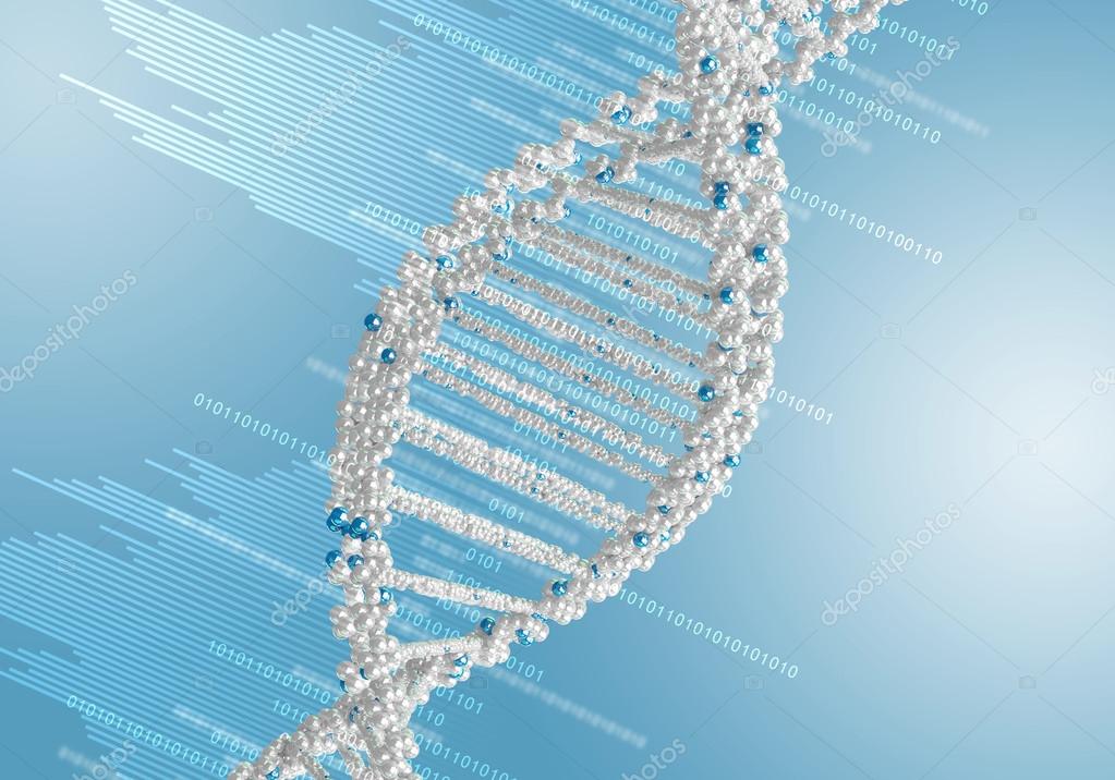DNA strand illustration Stock Photo by ©SergeyNivens 14697149