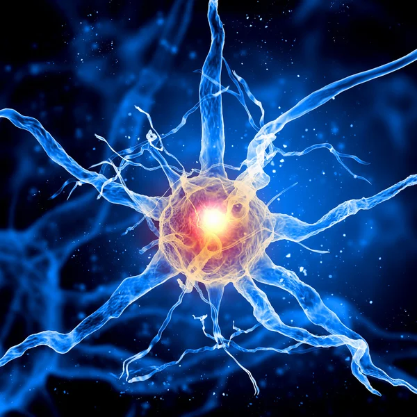 Illustration of a nerve cell Stock Photo by ©SergeyNivens 26315089