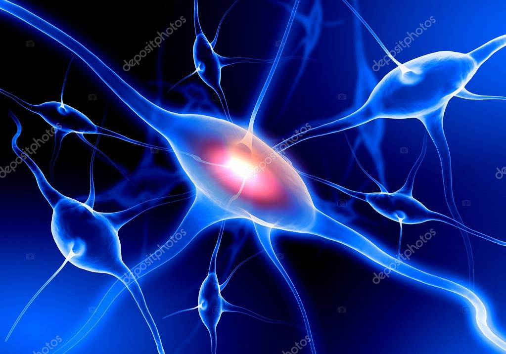Illustration of a nerve cell Stock Photo by ©SergeyNivens 26315039