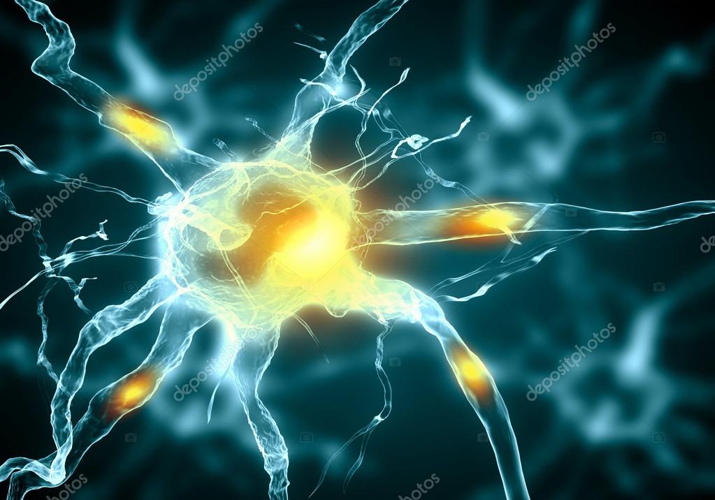 Illustration of a nerve cell Stock Photo by ©SergeyNivens 26315063