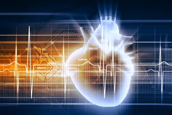 126 Human heart beats Stock Photos | Free & Royalty-free Human heart ...