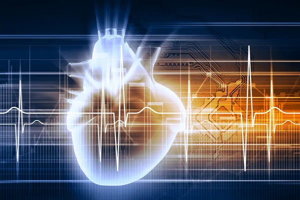 126 Human heart beats Stock Photos | Free & Royalty-free Human heart ...