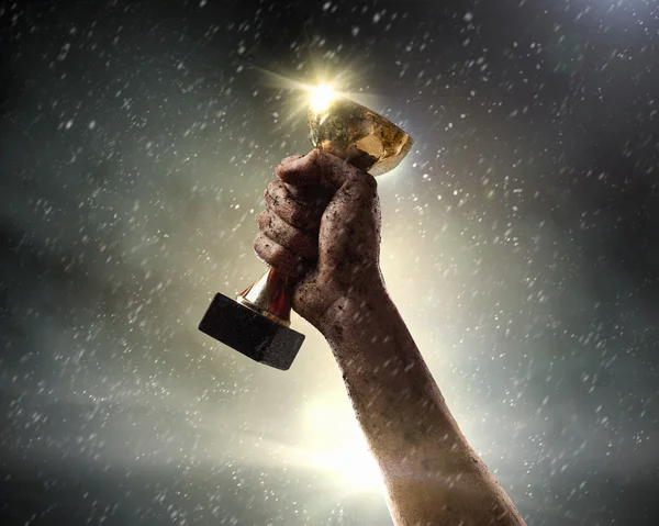 We win Stock Photos, Royalty Free We win Images | Depositphotos