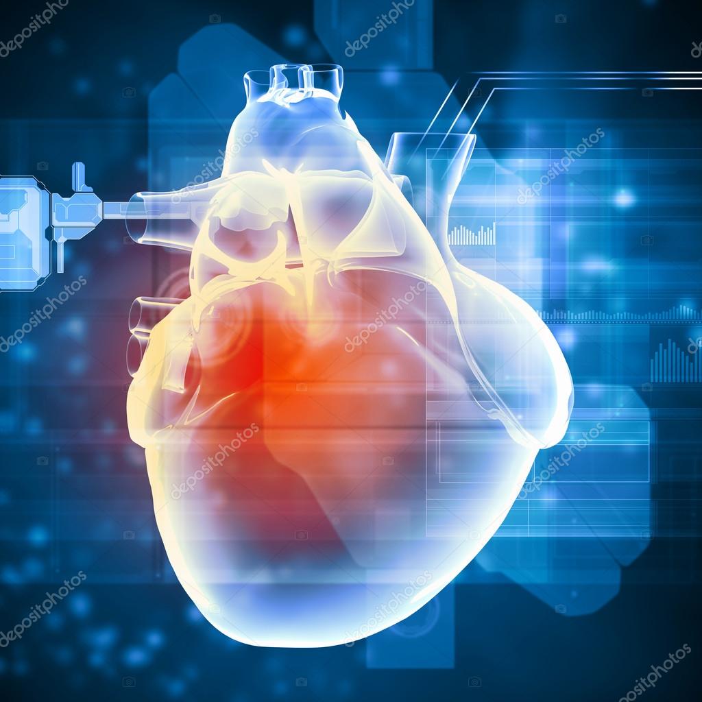 Human heart beats Stock Photo by ©SergeyNivens 30249663