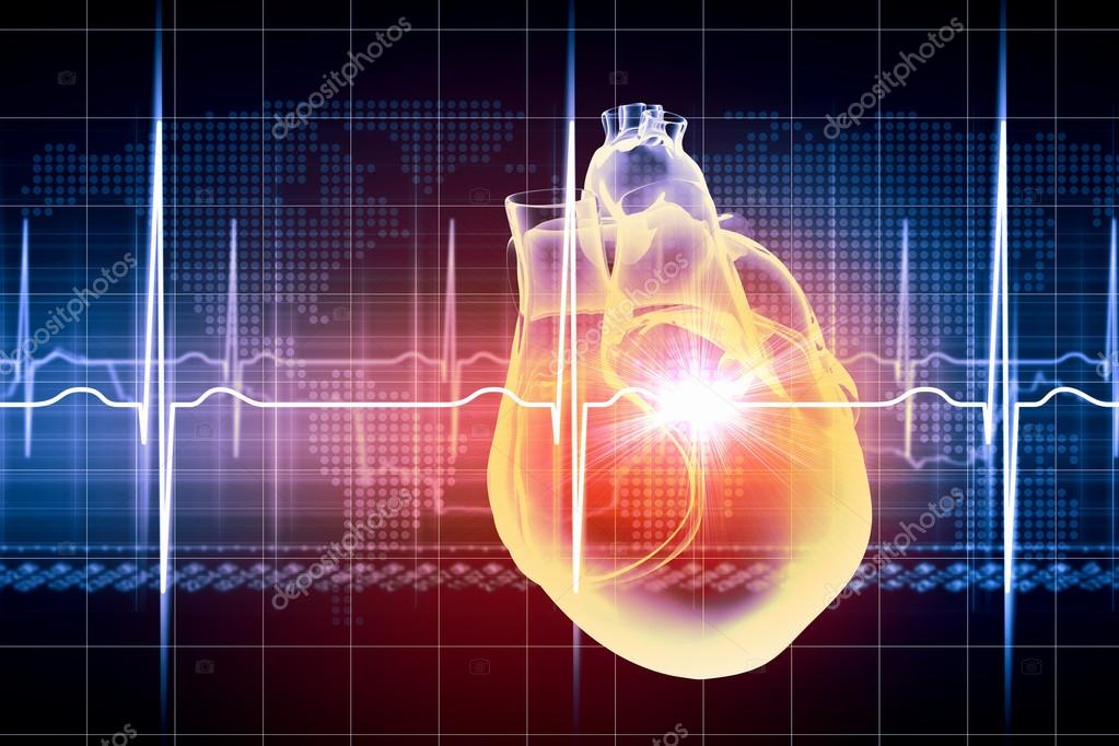 Human heart beats Stock Photo by ©SergeyNivens 30507531