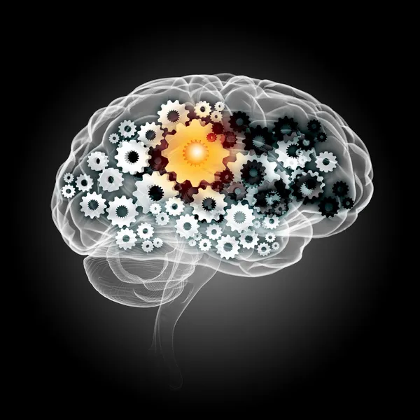 Brain smart Stock Photos, Royalty Free Brain smart Images | Depositphotos