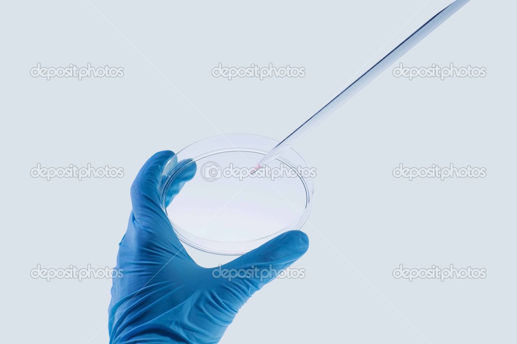 Laboratory test — Stock Photo © SergeyNivens #41109675