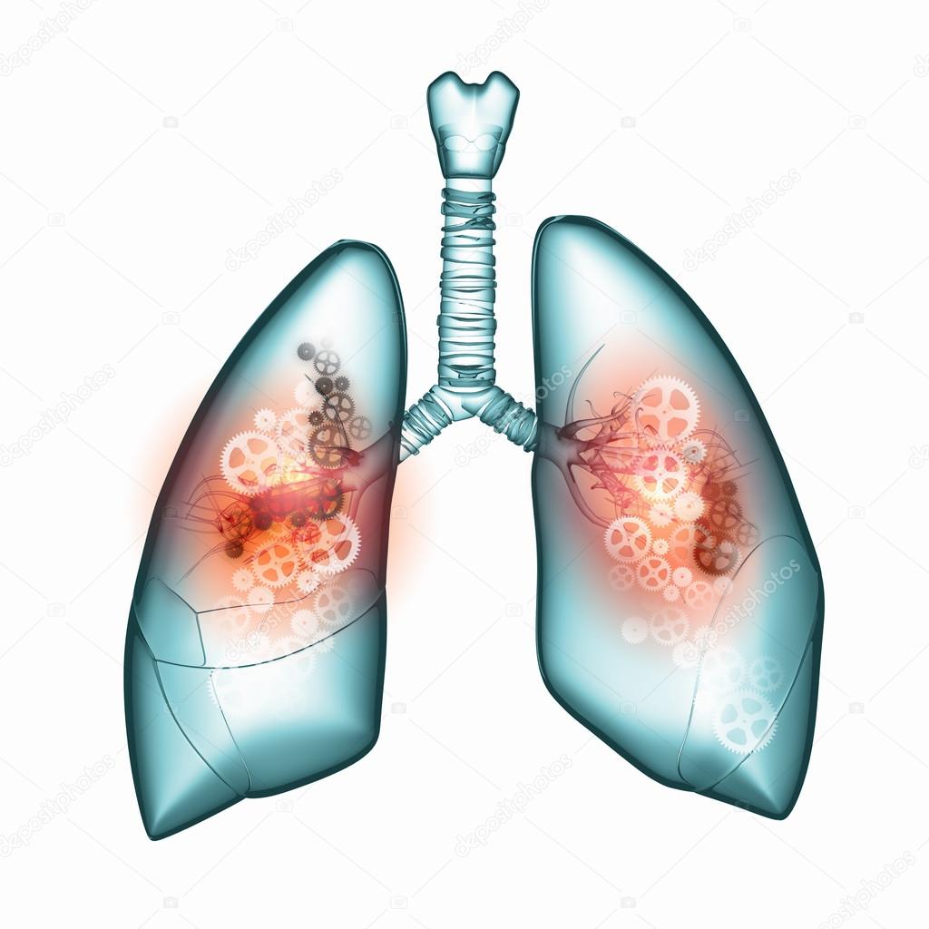 pulmones humanos 2022