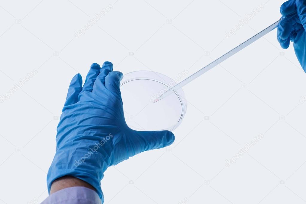 Laboratory test — Stock Photo © SergeyNivens #41140525