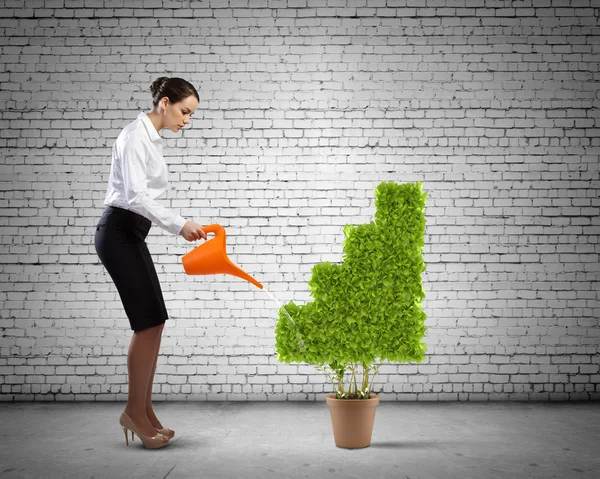 Income Stock Photos, Royalty Free Income Images | Depositphotos