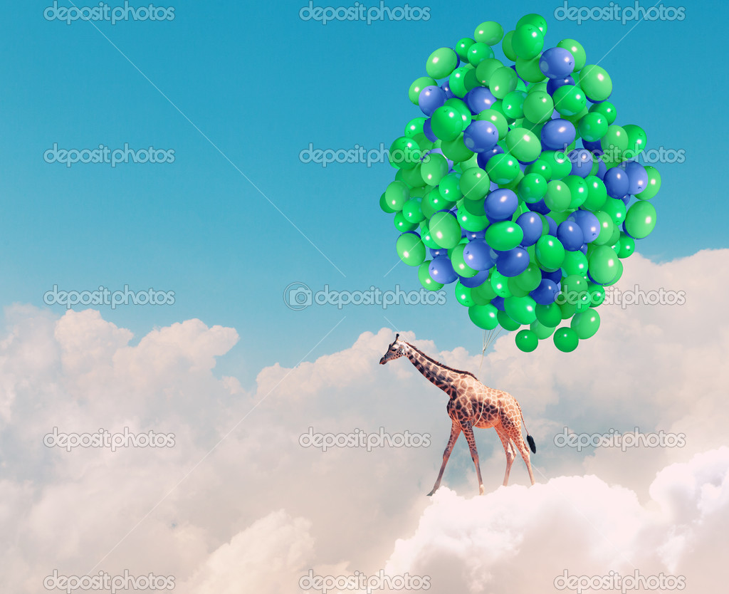 Flying giraffe Stock Photo by ©SergeyNivens 50354853