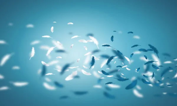 Falling feathers Stock Photos, Royalty Free Falling feathers Images ...