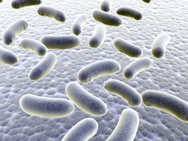 Pathogen bacteria on the surface — Stock Photo © frenta #132267406