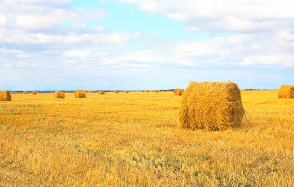 ᐈ Hay rick stock pictures, Royalty Free hay rick photos | download on ...