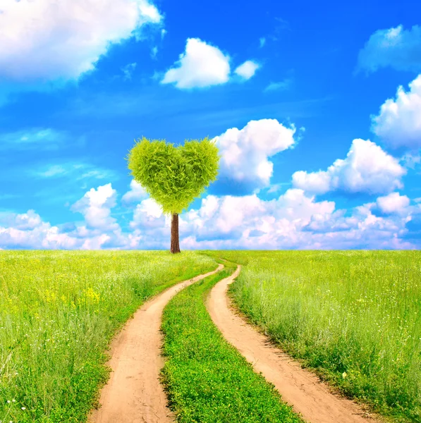 Healthy path Stock Photos, Royalty Free Healthy path Images | Depositphotos