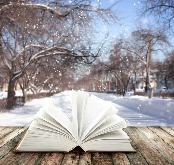 Old open book in the snow Stock Photo by ©apolobay 59181303
