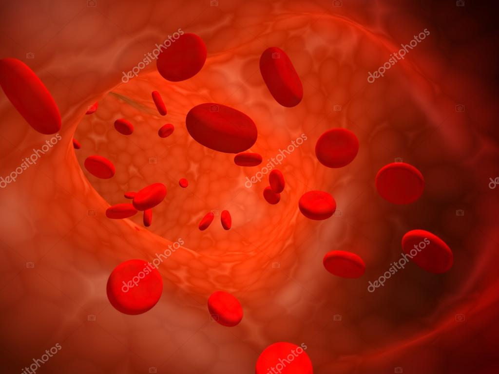 Erythrocytes — Stock Photo © frenta #41976255