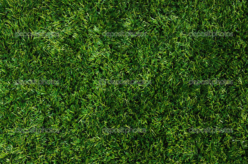 Grass Texture High Resolution