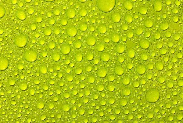 Green water drops Stock Photo by ©Ale-ks 25248911
