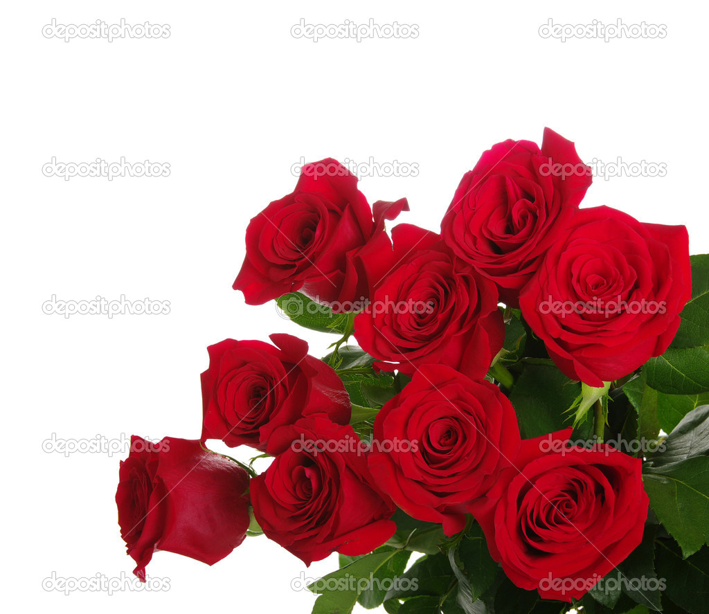 Red roses bouquet Stock Photo by ©Ale-ks 43318319