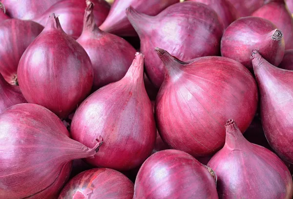 Red onion Stock Photos, Royalty Free Red onion Images | Depositphotos