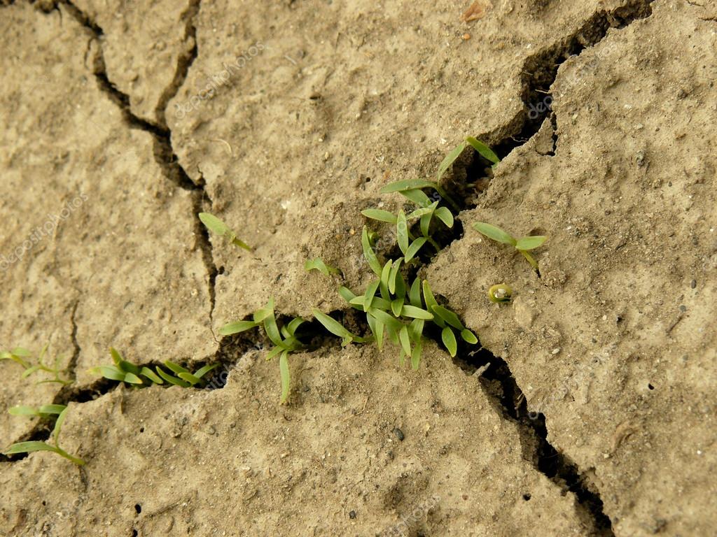 Hard ground — Stock Photo © DLeonis #24722475