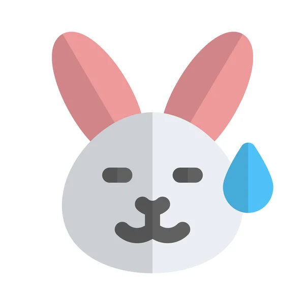 Sad Bunny Face