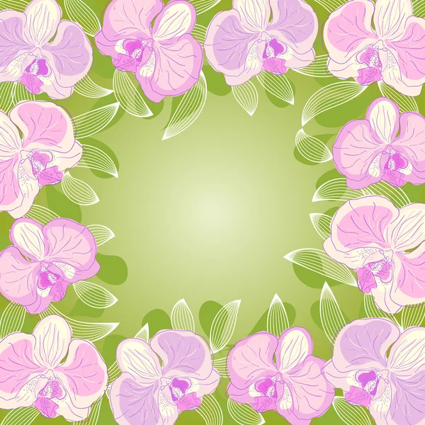 Orchid frame — Stock Vector © Elenita #13762371
