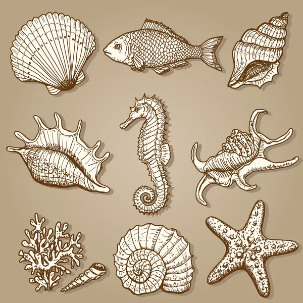 ᐈ Sea shells artwork stock pictures, Royalty Free seashell vectors ...