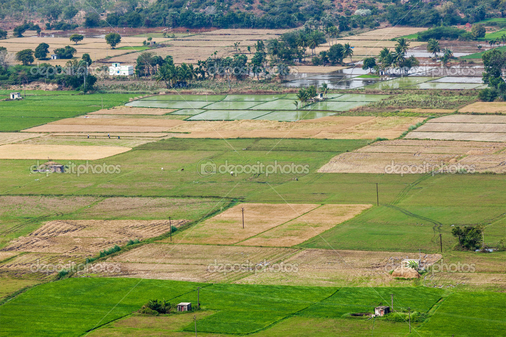 Aeiral view of Indian countryside with rice paddies, Tamil Nadu — Stock ...