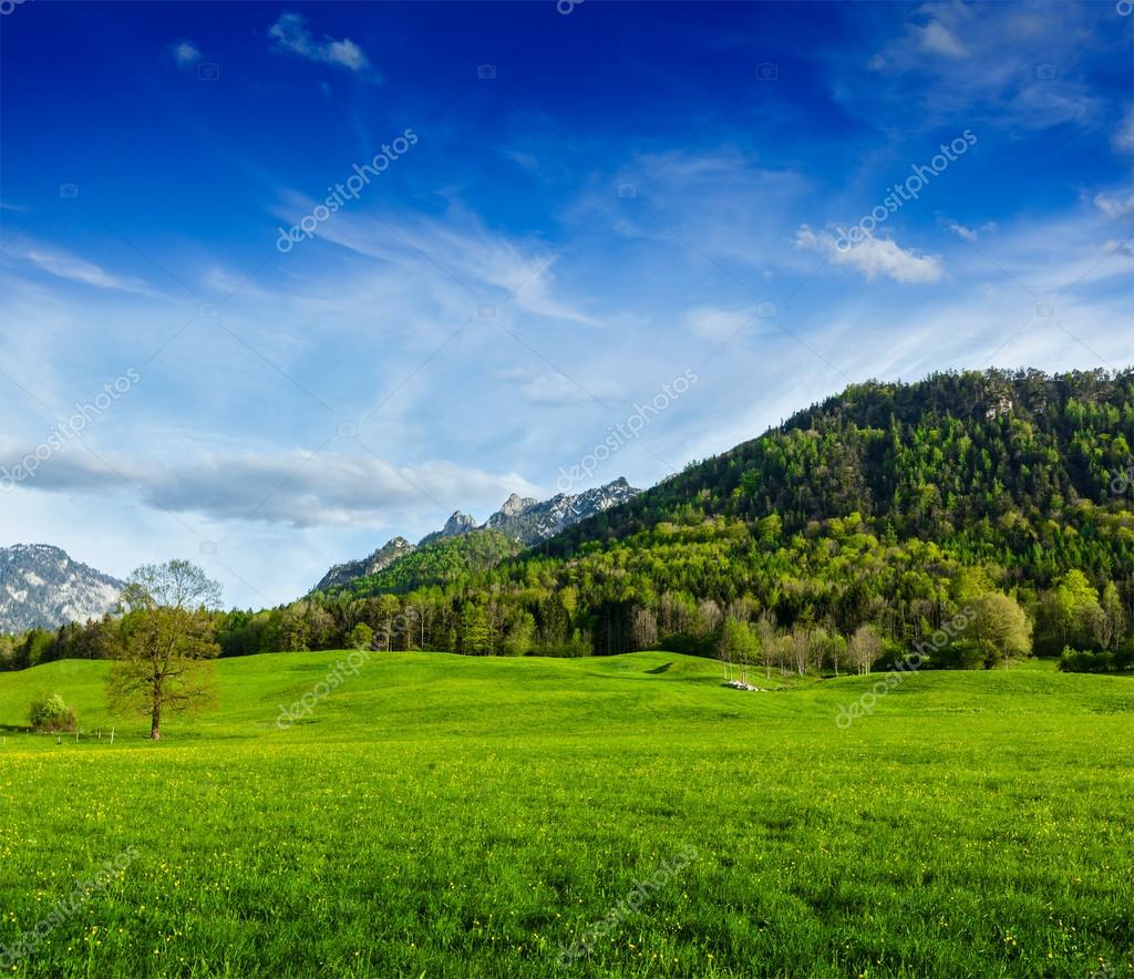 Alpine meadow in Bavaria, Germany — Stock Photo © DmitryRukhlenko #44922161