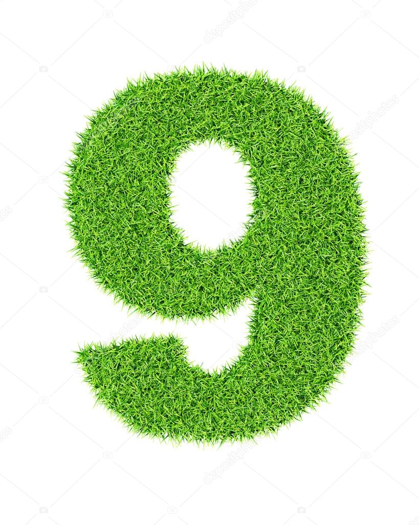 Grass number 9 — Stock Photo © DmitryRukhlenko #45096913