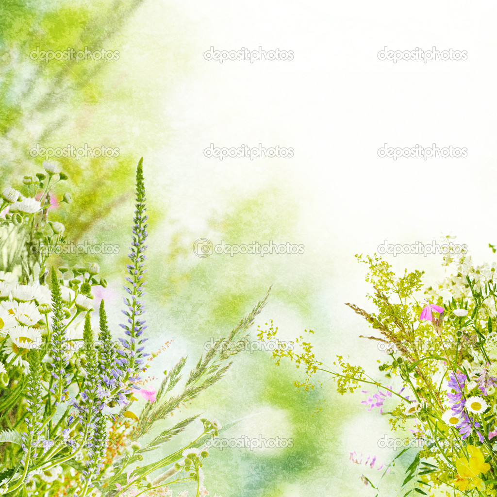 Natural floral background Stock Photo by ©Roxana 46332347