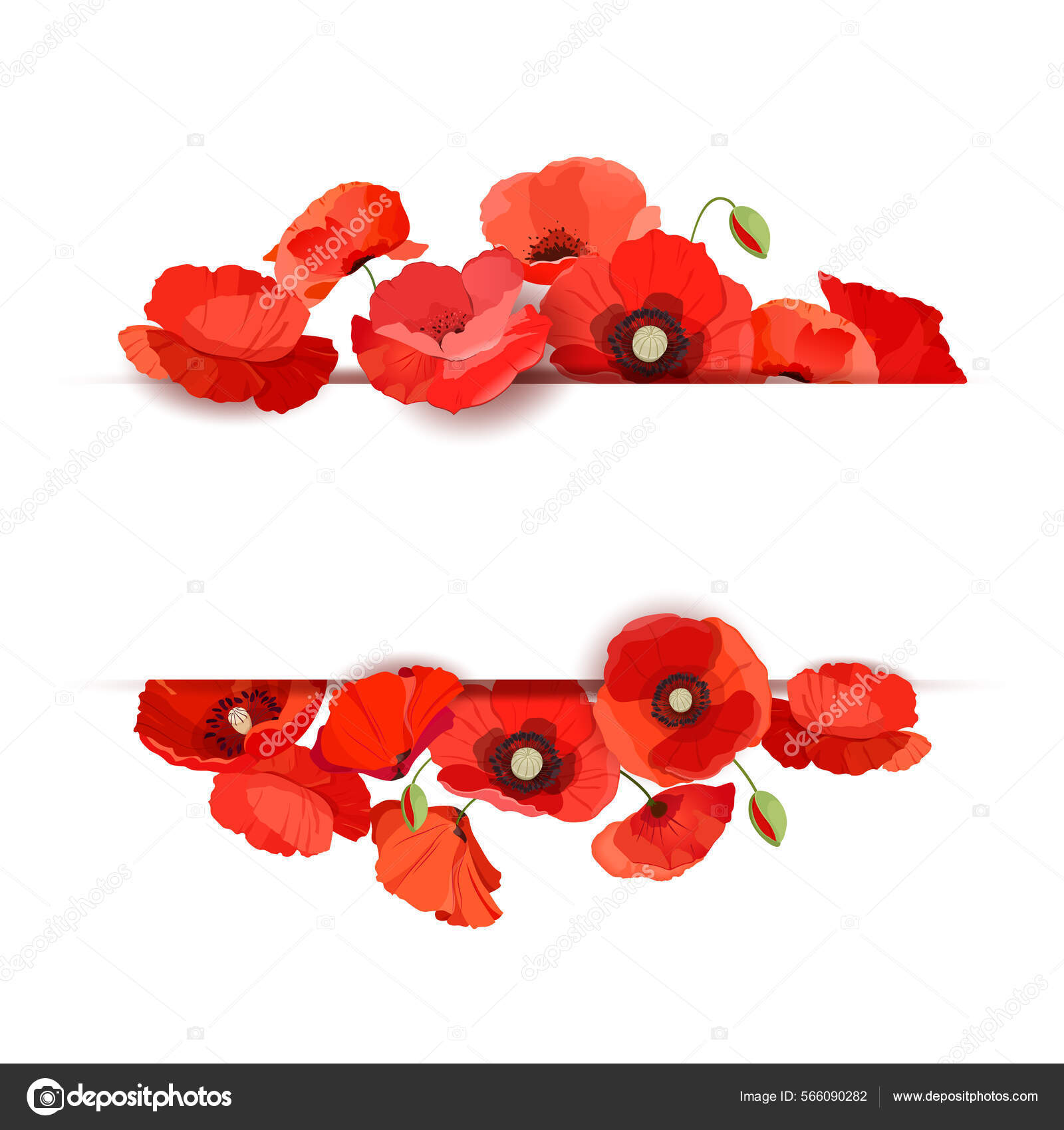 Banner with red poppy flowers on white Stock Vector by ©Bienchen 566090282