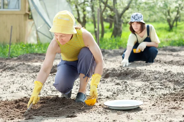Women sows seeds in soil - Stock Image - Everypixel