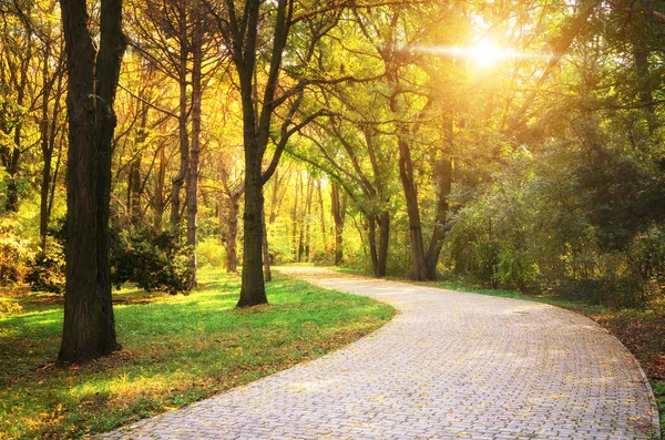 Sunny pathway Stock Photos, Royalty Free Sunny pathway Images ...